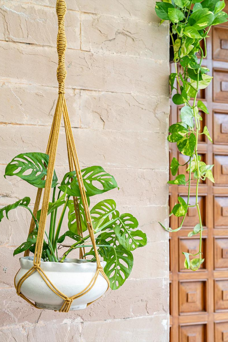Meander Plant Hanger – Paper Boat Collective | Goa | Bangalore
